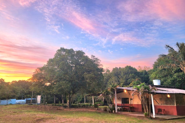 Sítio Gaia - State of Amazonas