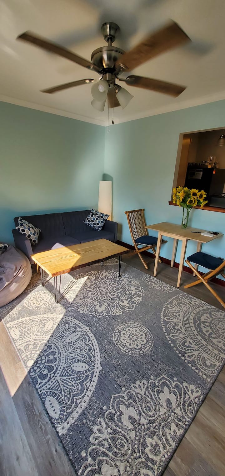 Downtown Healing Retreat Aptmt - Oakland, MD