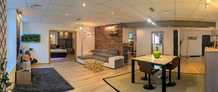 Spacieux Loft En Hyper Centre D'epinal - Épinal