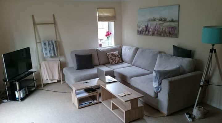 Homely And Relaxing - Portarlington, Ireland
