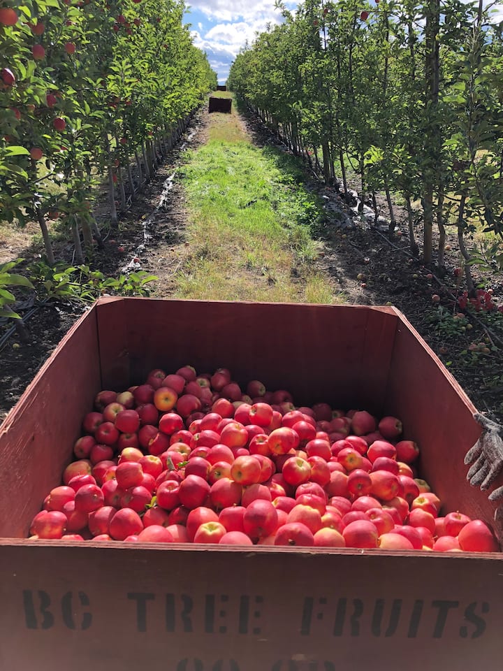 Townhome Gables Between The Lakes - Lake Country
