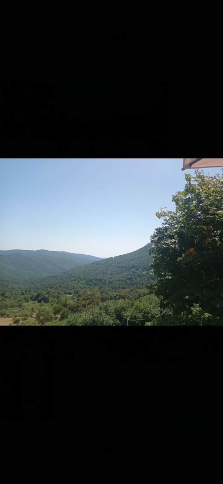 Maison Authentique Et Charmante En Haute-corse - Venaco