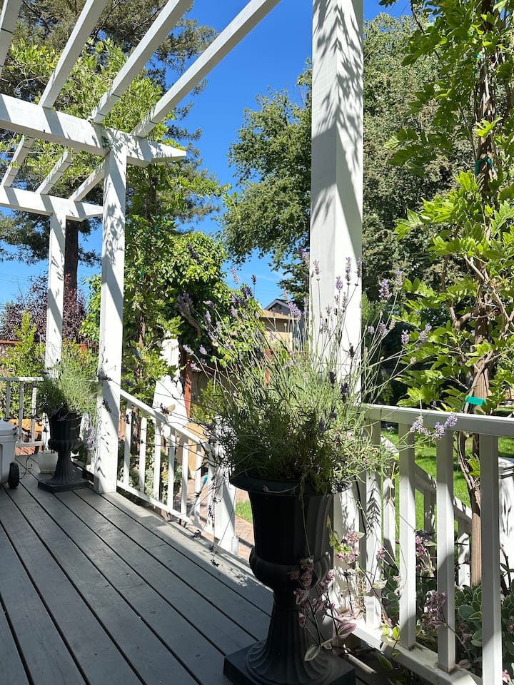Luxury Victorian In Downtown Petaluma - Petaluma, CA