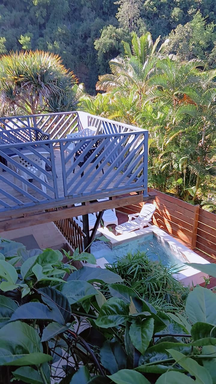 Au Monstera •
 Vue, Calme & Piscine - Saint-Leu
