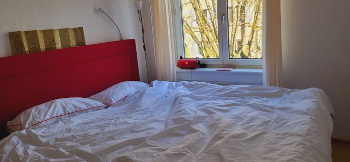 Stadtzentrum/zimmer Im Park/3 Gehminuten Zum Rhein - Konstanz