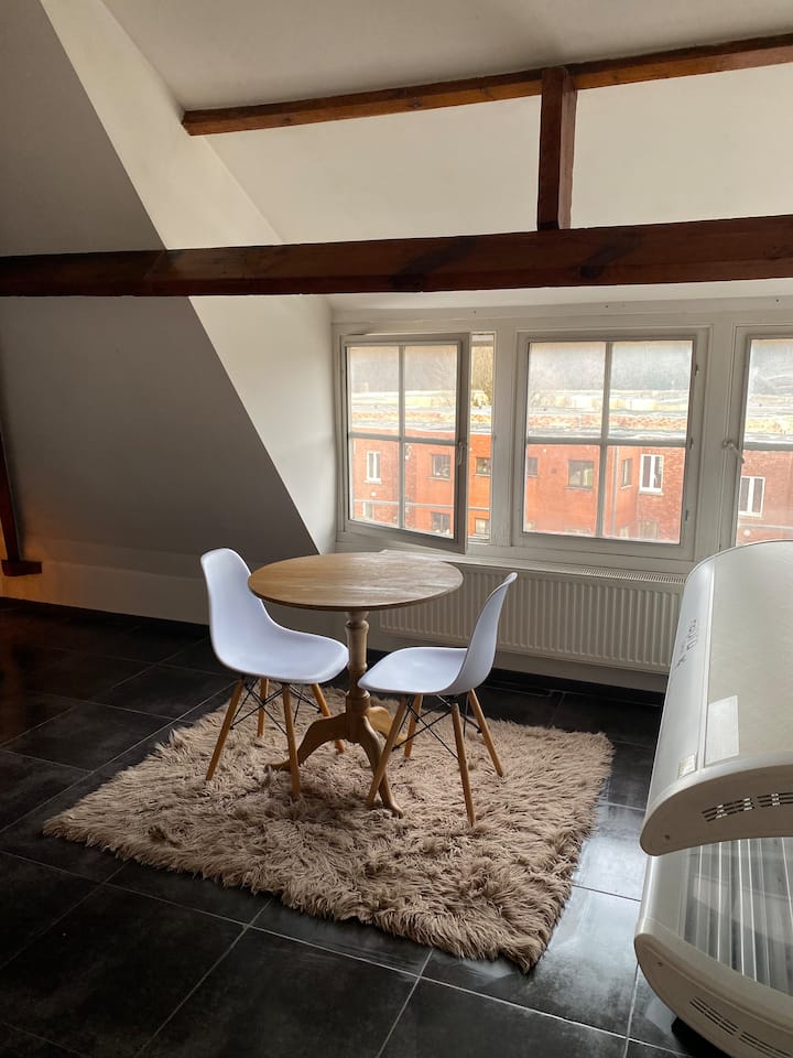 Kamer Dichtbij Centrum Gent - Sint-Martens-Latem