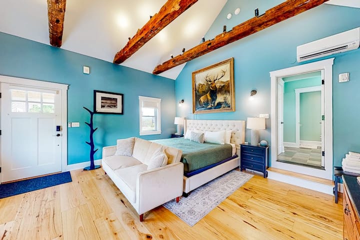 Vintage Studio Mountainview | Kitchenette - Waterbury Village Historic District, VT