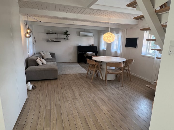Lille Hus Fra 1800 - Denmark