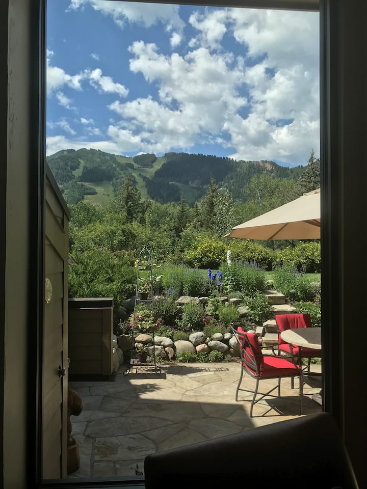 Best: Views, Location, Price.3br 3 Ba - Aspen, CO