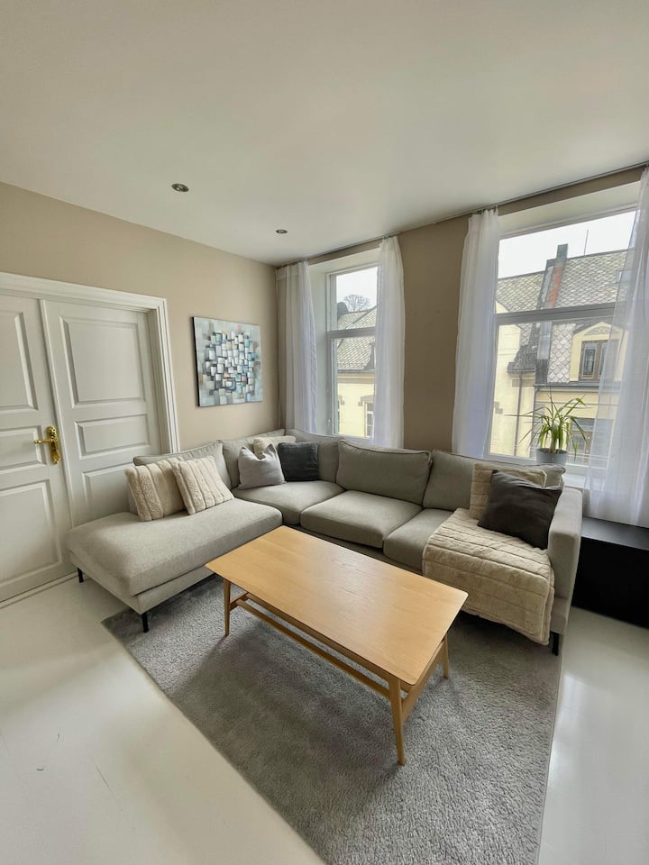 Flott Leilighet Midt I ÅLesund - Ålesund