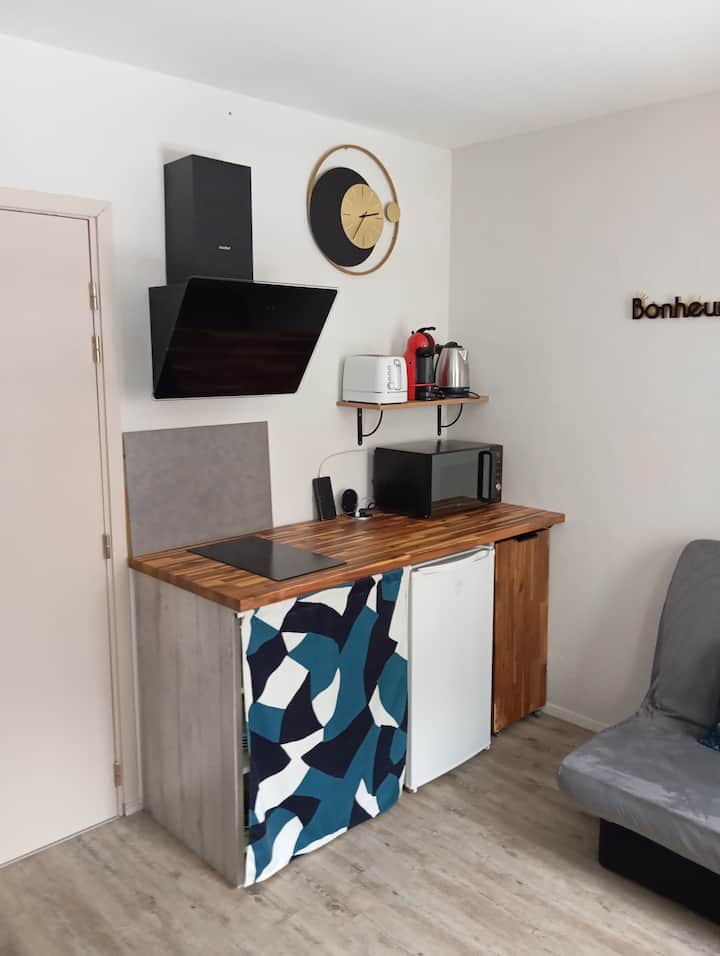 Studio Guzet Neige  Wifi Max 4 Pers - Aulus-les-Bains