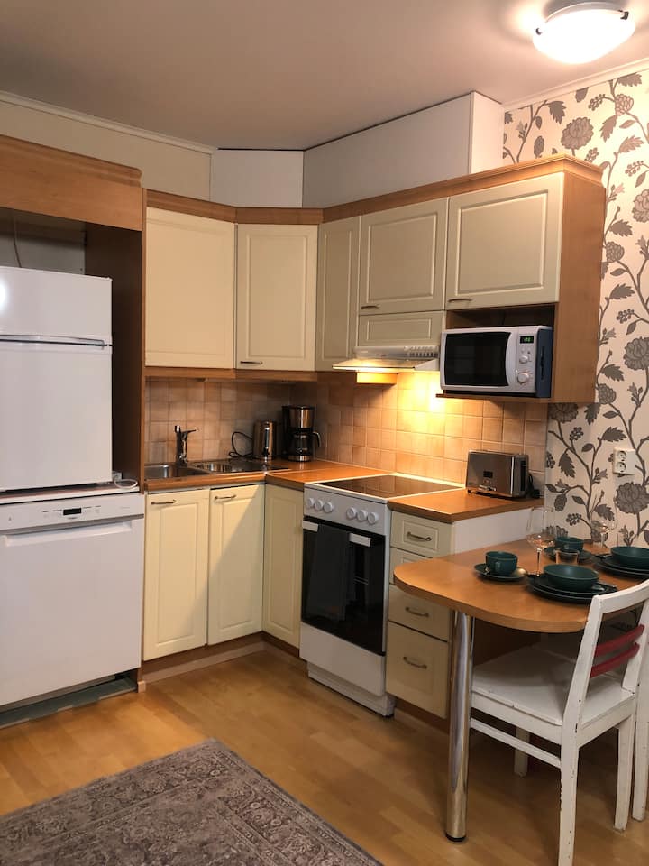 Studio Apartment With Own Sauna In City Centre - Joensuu