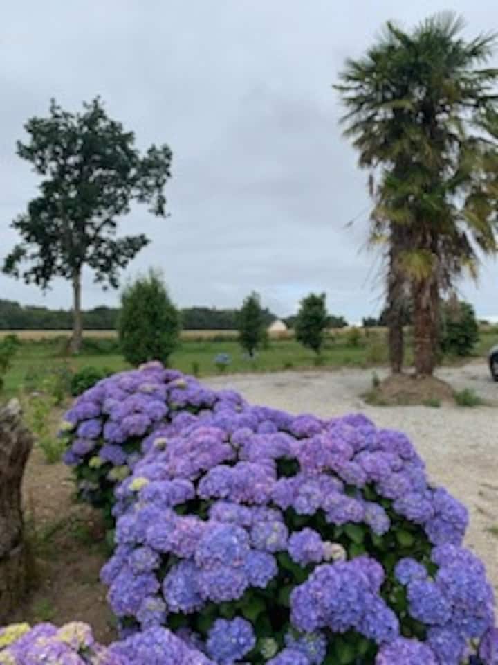 Jolie Propriété Arborée - Rostrenen