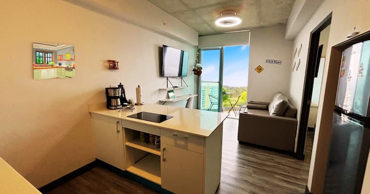 Sloth In The City - San José