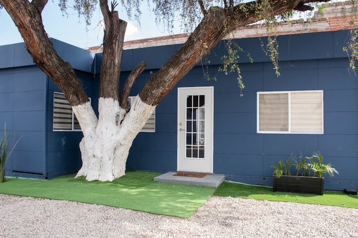 Casa De Los Olivos - León