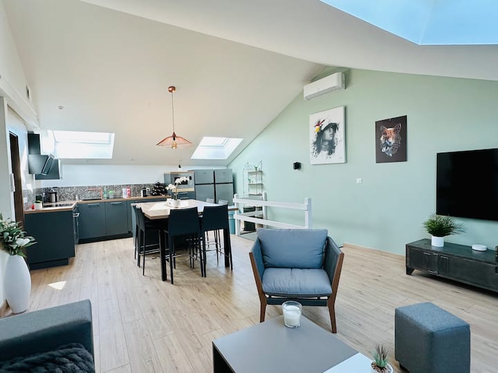 Charmant Loft Artem/thermal - Nancy