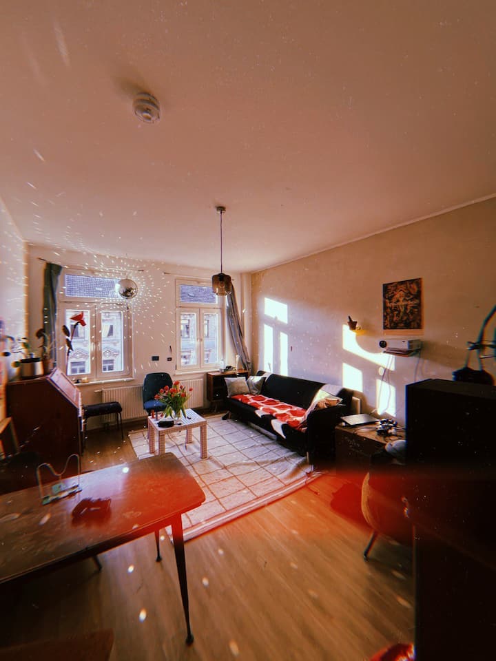 Lichtdurchflutete Wohnung - Leipzig