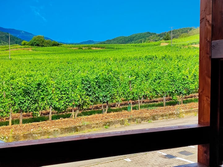 Le Vign'art - Bergheim, France