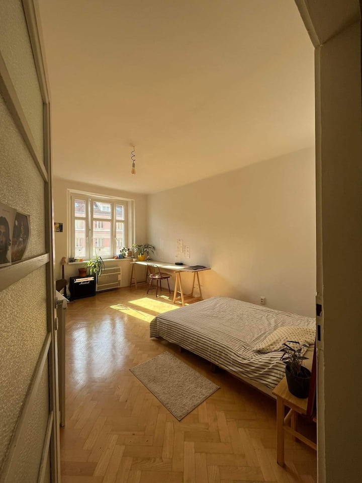 Aesthetic Room In Cozy Apartment - Prague
