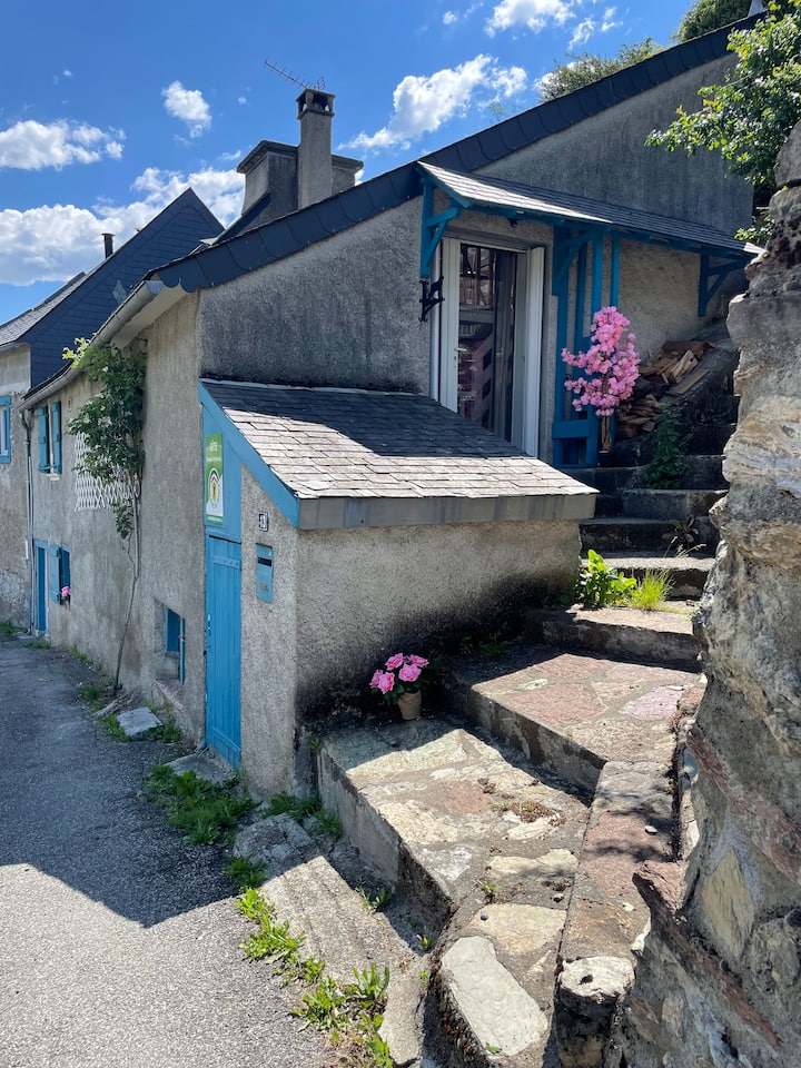 La Maison Du Patou, Proximité Arreau Et St Lary - Arreau