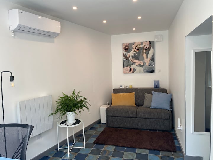 Studio Cuisine éQuipée, Climatisation Avec Jardin - Strassburg
