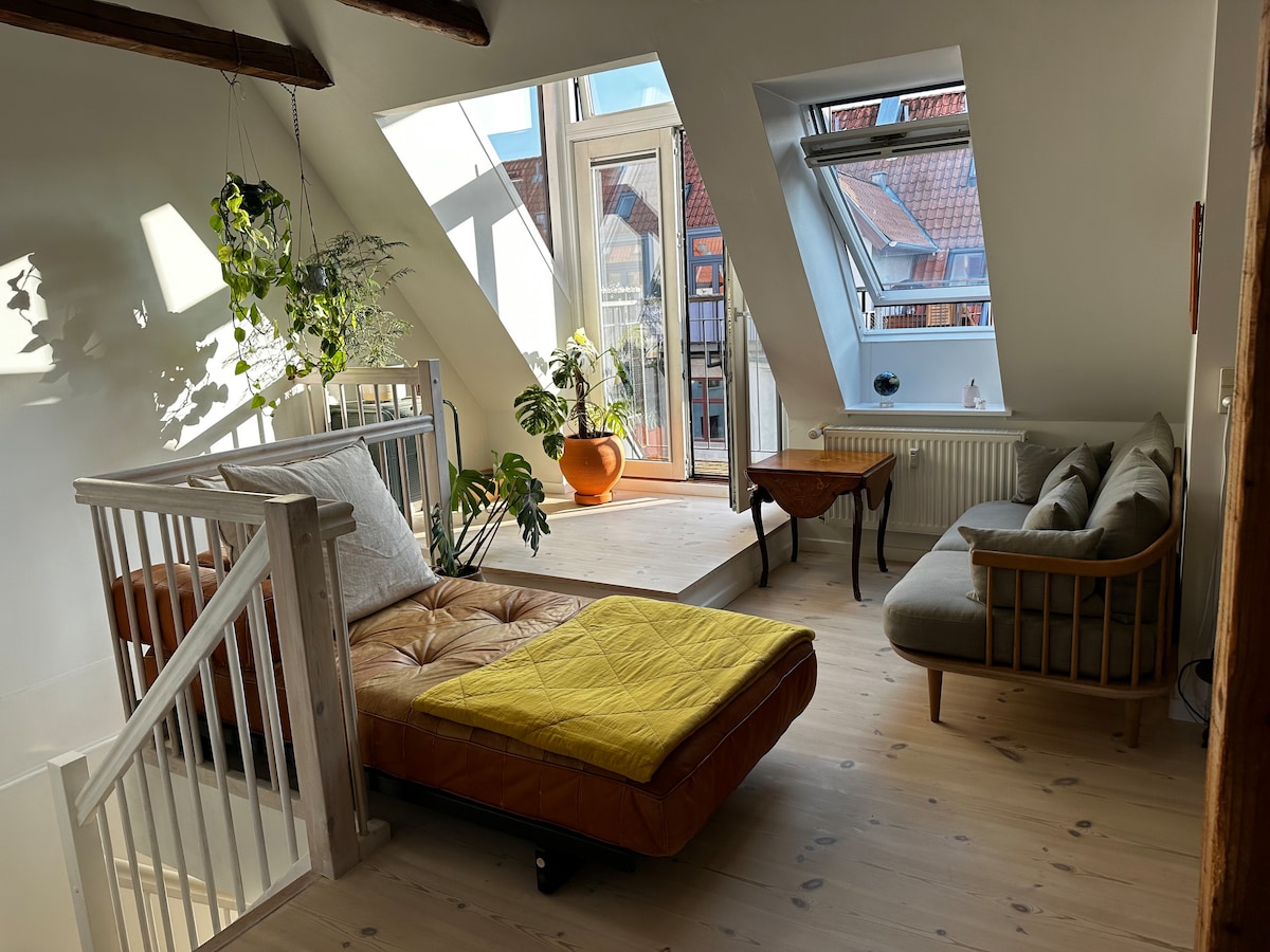 Homey and bright apartment, central Copenhagen - Flats for Rent in ...