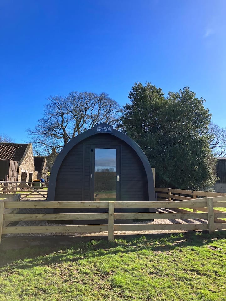 Cow Pasture Pod - Runswick Bay