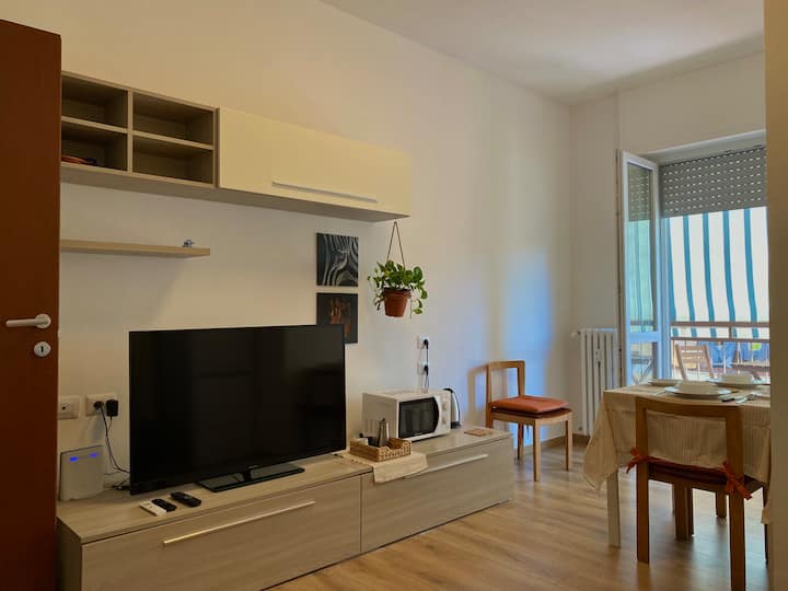 Policlinico Hospital, Eni, Linate Airport, Milan - San Donato Milanese