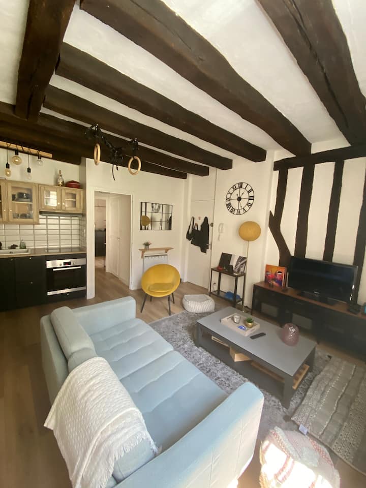 Hyper Centre Appartement Calme - Tours
