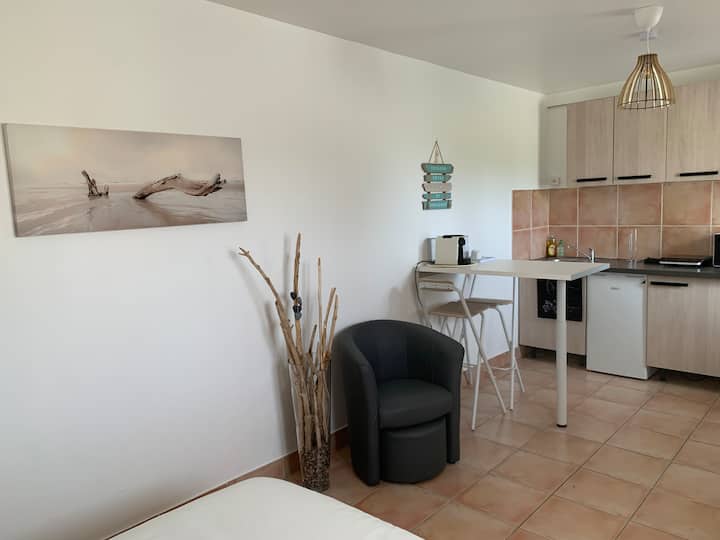 Studio Campagne Camarguaise
L’hirondelle - Arles, France