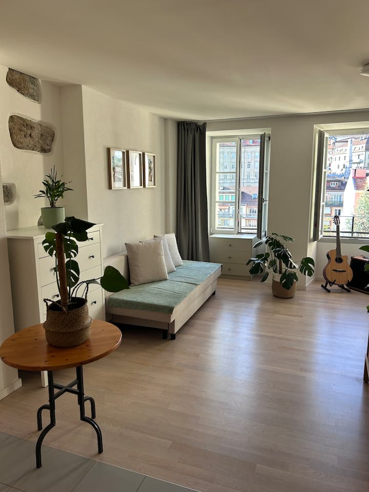 Grand Studio Au Cœur De Lausanne - Lausanne