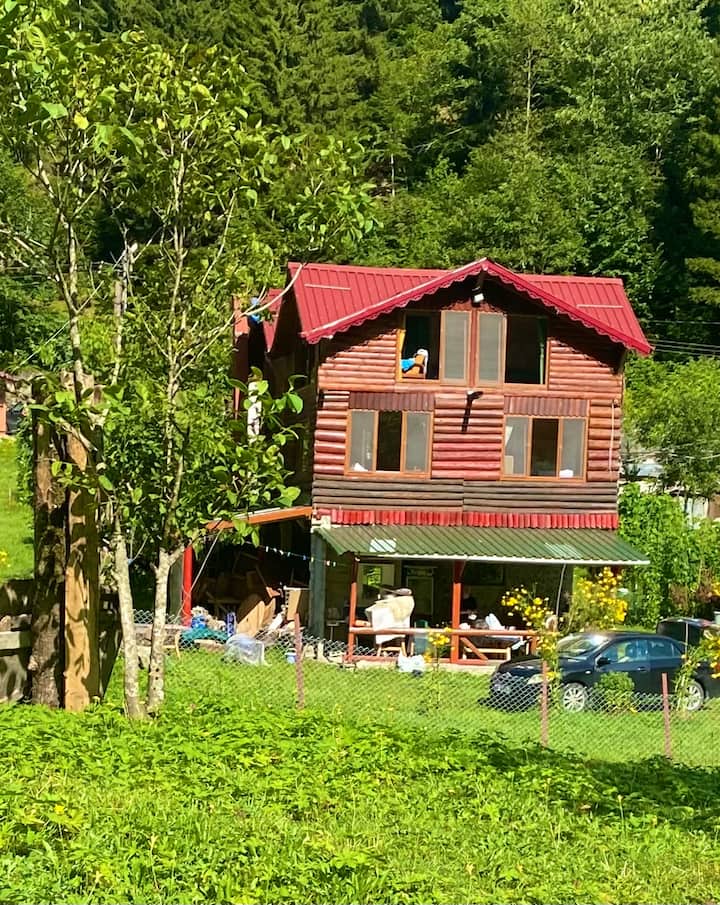 ŞAto Tüm Imkanlara Sahip Harika - Karadeniz Bölgesi