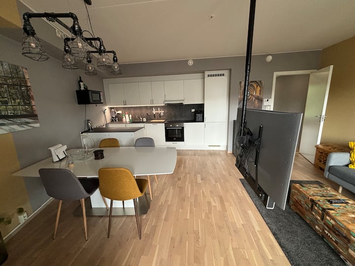 Sentralt Og Innbydende Rom I Moderne Leilighet. - Oslo
