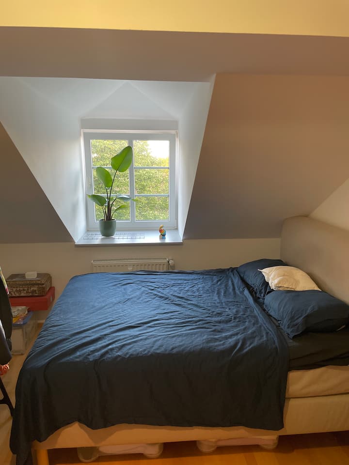 Gemütliches Schlafzimmer In Laim - Munich