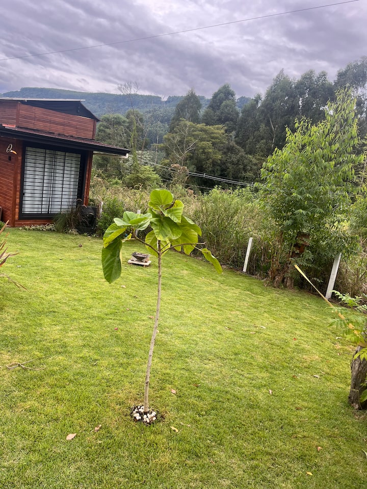 Chalé Para 4 Pessoas, 2 Dormitórios. - Nova Petrópolis