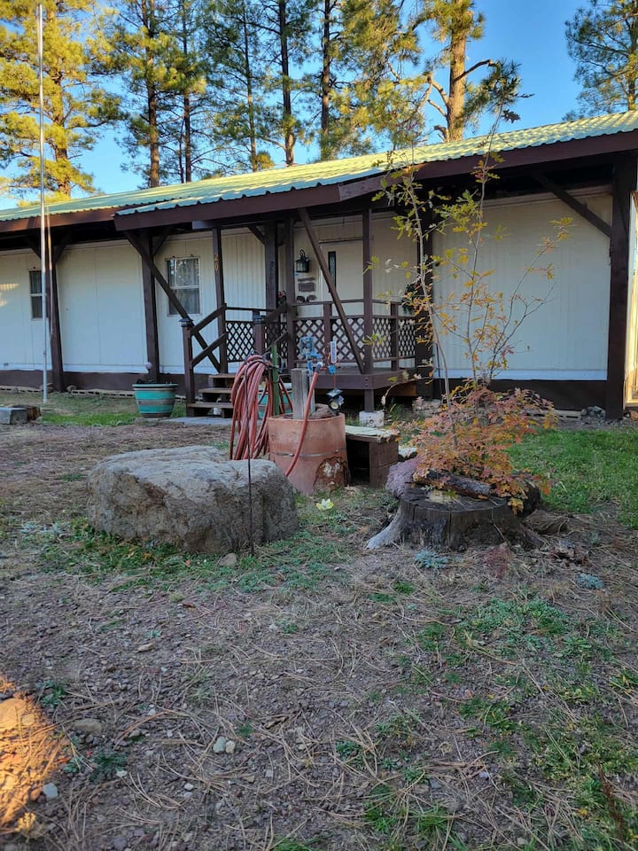 Quiet Escape | For Hunters & Family Retreat! - Alpine, AZ