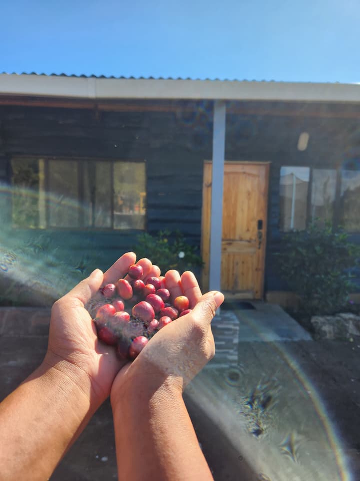 Cabin In Juayua Coffee Farm - El Salvador