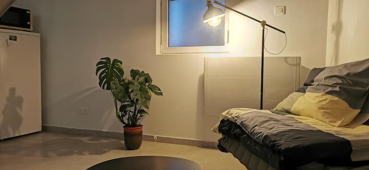 Studio 40m² - Robertsau