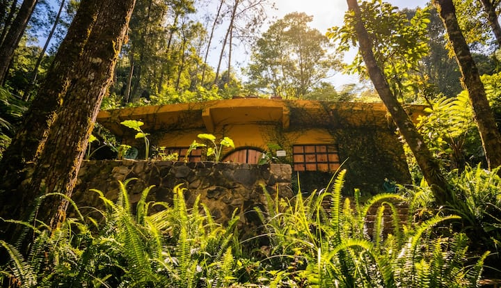 Cabaña Hobbit · Romance En Bosque Y Cascada - Xico