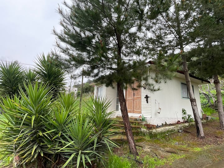 Desconectarse Y Relajarse - 