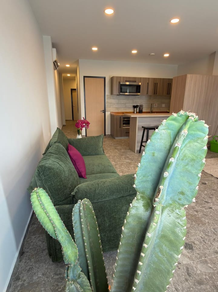 Bushiri Long Life 2bd|1ba Apt-sleeps 4-13 - 荷屬阿魯巴