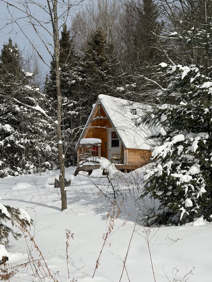 Orchard Cabin - Ontario 60
