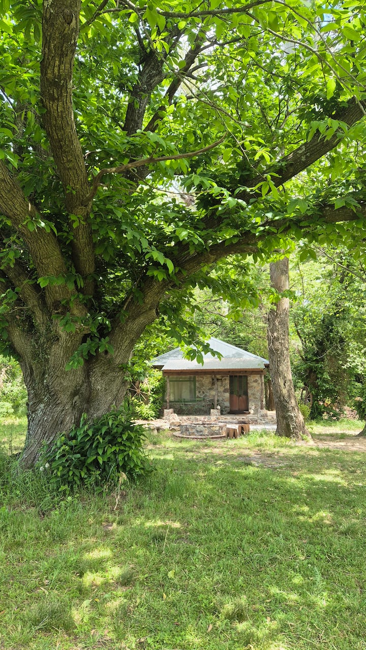 Entreviñas Greenstone (En Bodega Familiar) - Provincia de Entre Ríos