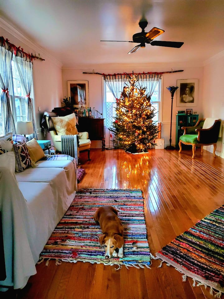 Providence Cottage Athens - Athens, GA