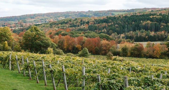 Stylish Home Near Ski Slopes & Snowmobile Trails - Chautauqua, NY