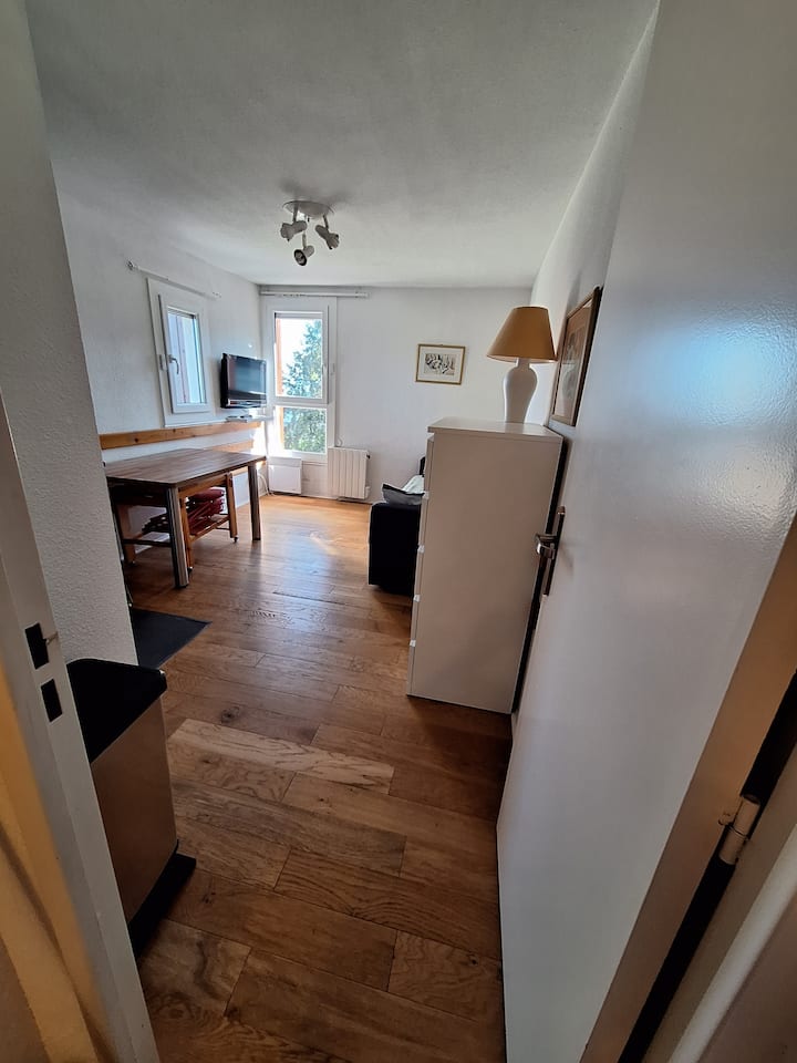 Studio Cabine Pour 4/5 Personnes - Prapoutel