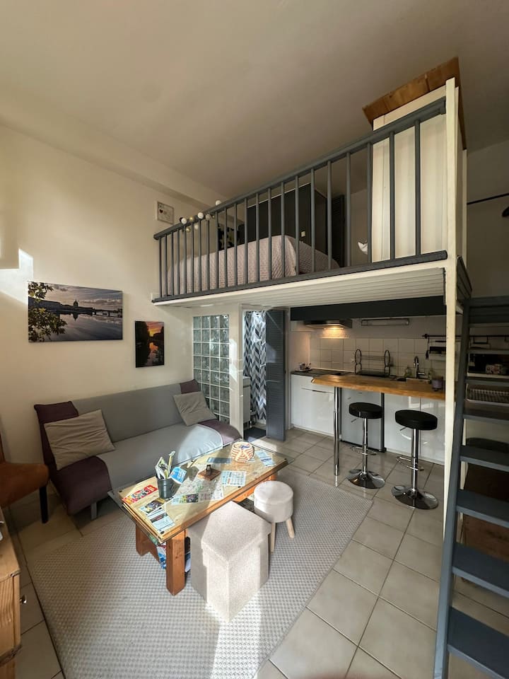 T1 Bis Cosy, Canal Et Métro - Labège