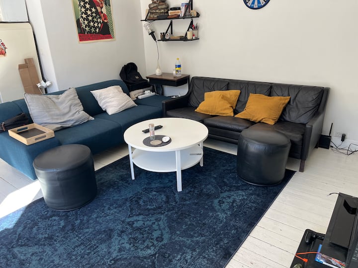 Comfy Centered Condo - Copenhage
