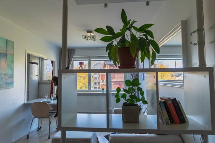 Cozy Minimalistic Studio In Central Helsinki - Helsinki