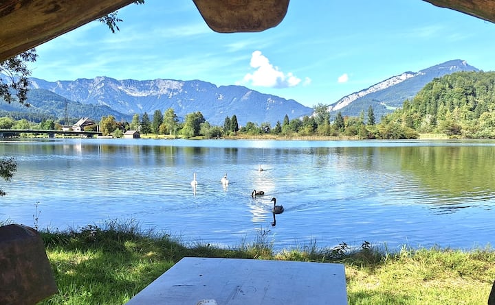 Seegut Steeg - Hallstatt